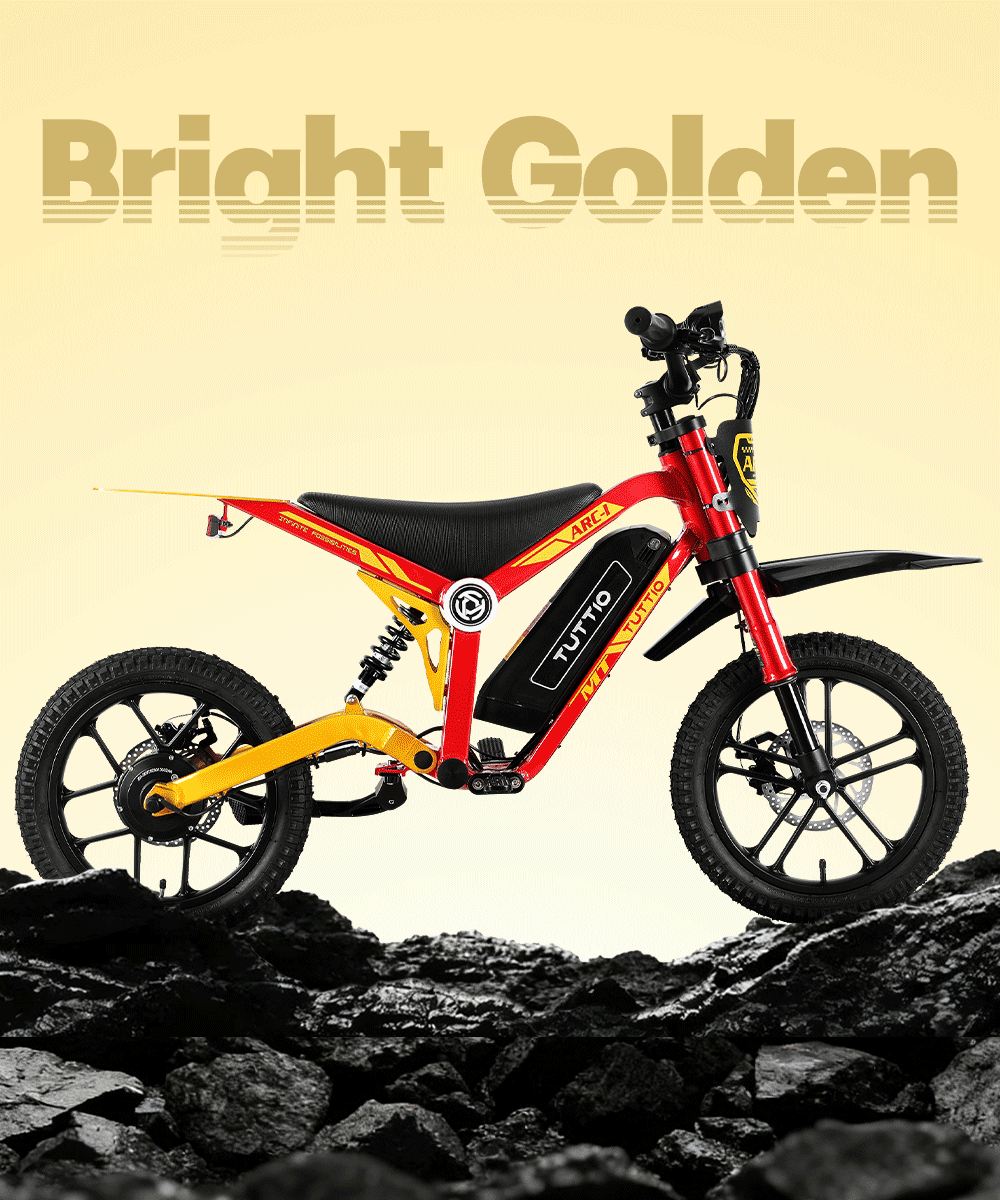 TUTTIO ARC-I Kids Electric Bike